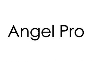 Angel Proについて – Angel Pro【エンジェルプロ】は、神奈川県川崎市の演技・ダンス・歌を得意とするタレント事務所です。